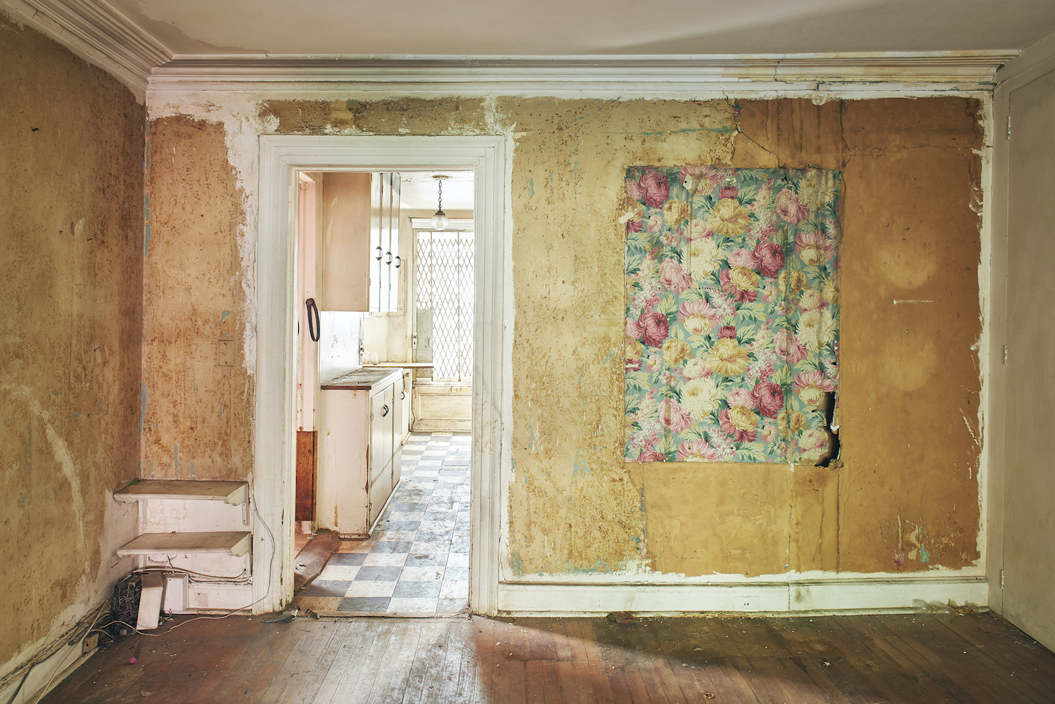 How Cortney and Robert Novogratz Plan to Restore an Iconic New York Home