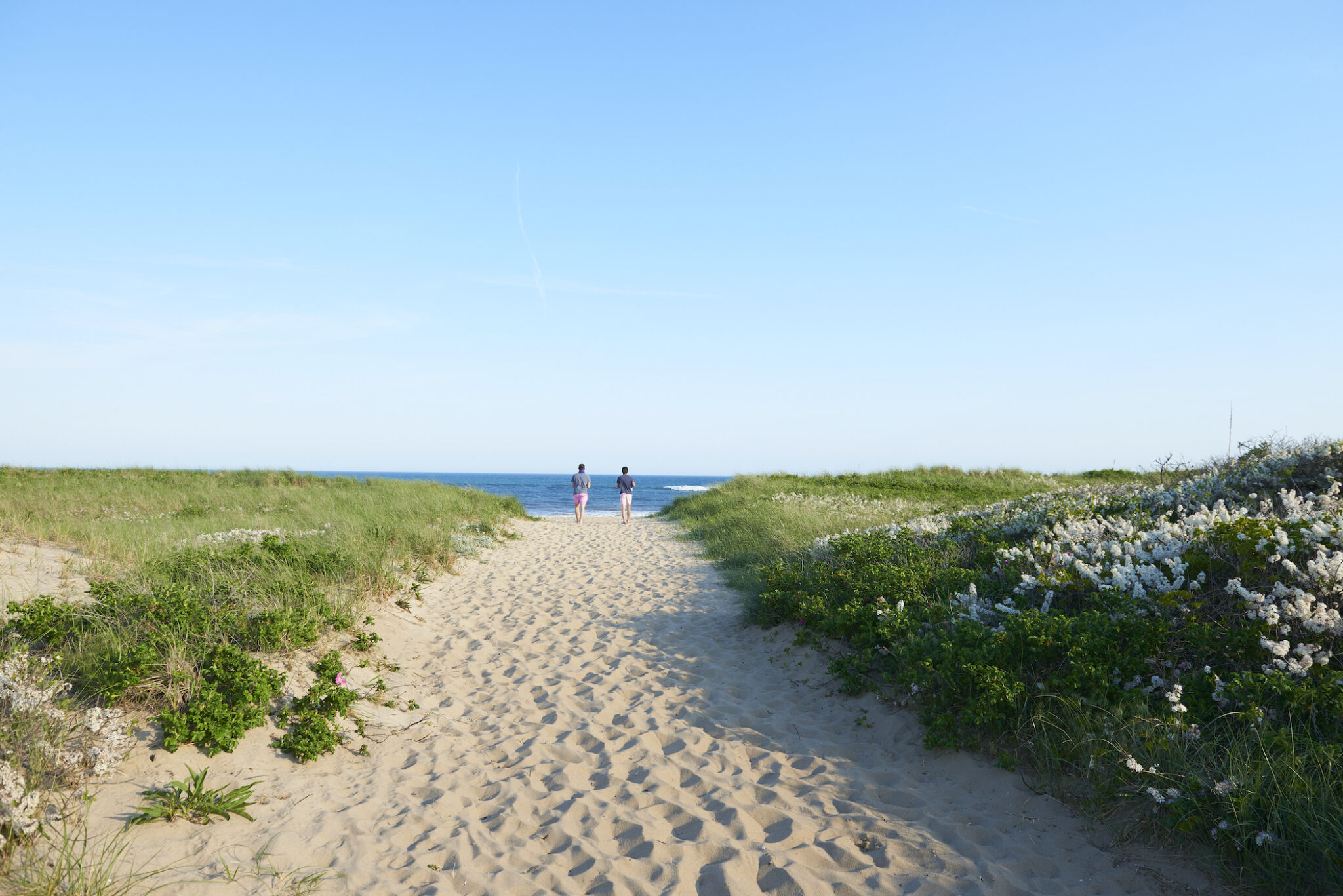 Avenue's Guide to the Best Hamptons Beaches